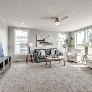 Genesis - Lifeway Homes