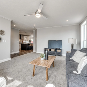 Genesis - Lifeway Homes